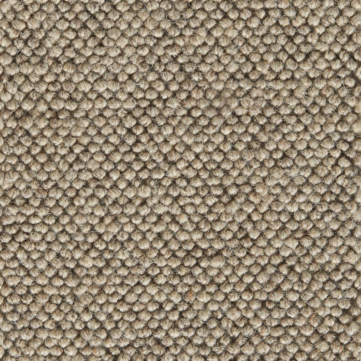 EGE MAJESTIC ULD/YAK BERBER - 0876280 – GULVBOKSEN | Tæpper& Gulve online